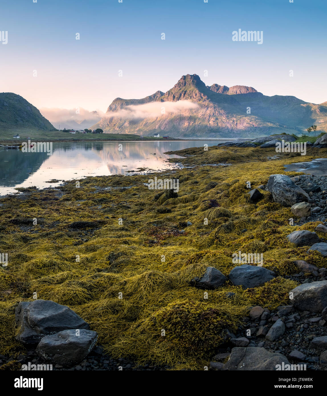 Low tide at peaceful summer evening in Lofoten, Norway Stock Photo - Alamy