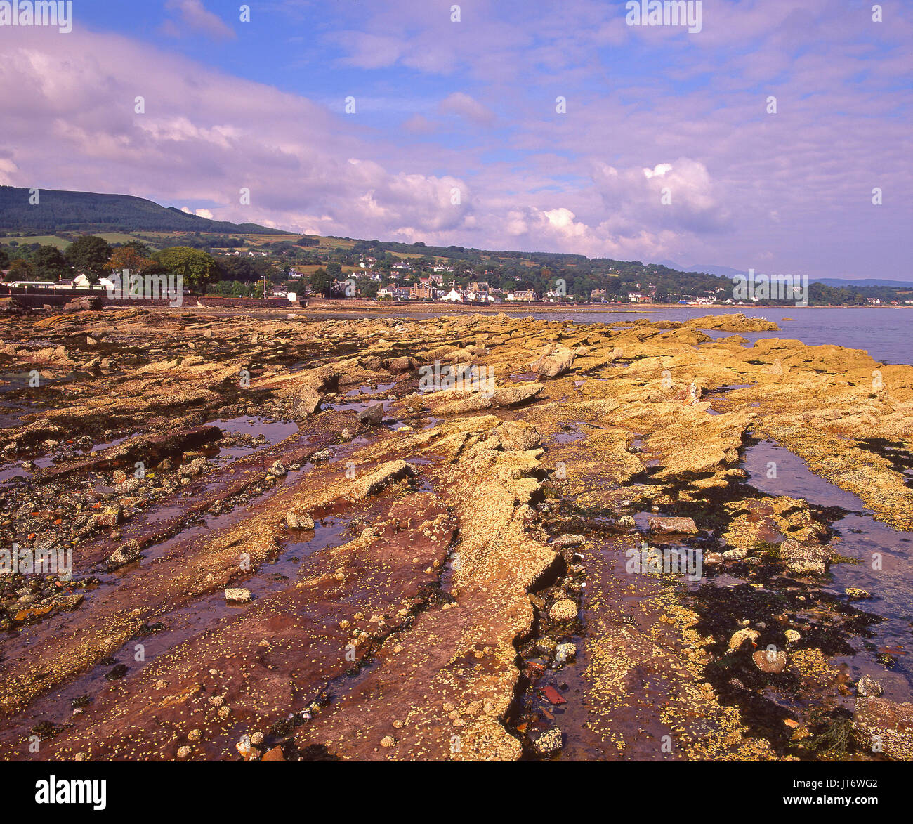 Summer whiting hi-res stock photography and images - Alamy