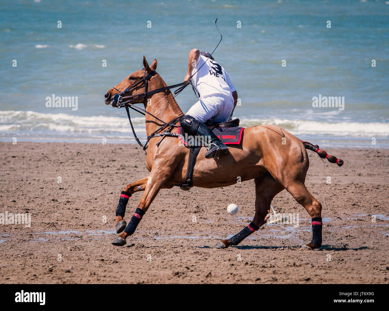 Polo strand hi-res stock photography and images - Alamy