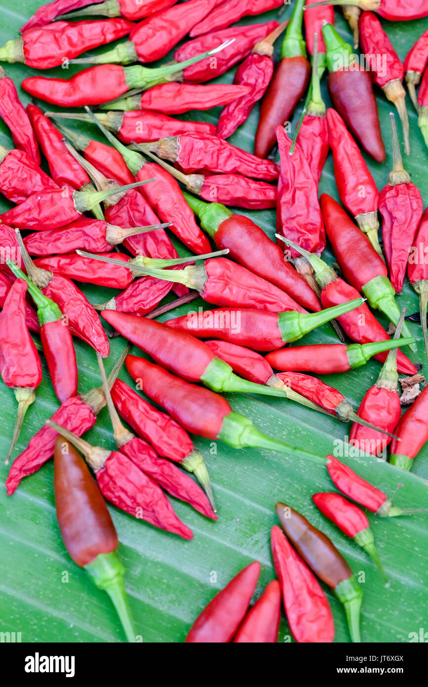 Red hot chili peppers Stock Photo - Alamy
