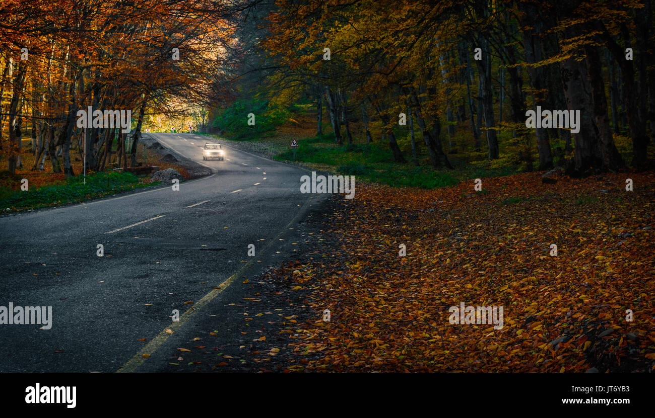 Vibrant scene car hi-res stock photography and images - Alamy