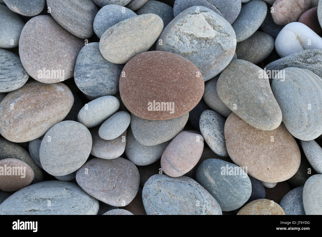 round pebbles on beach, Scotland Stock Photo - Alamy