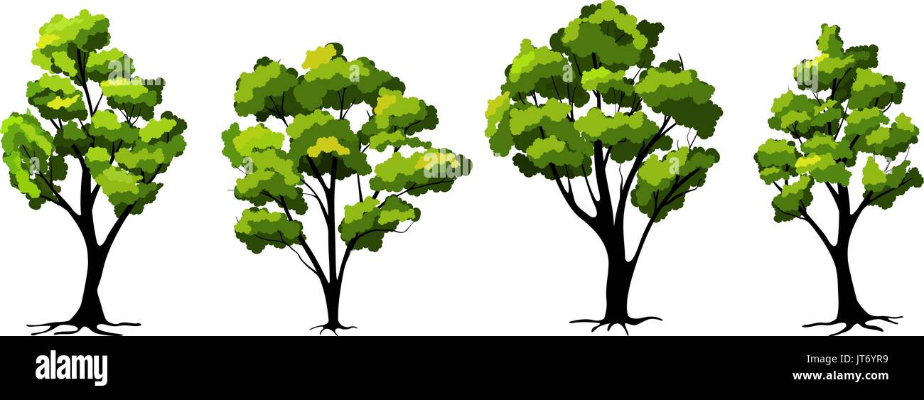 Vector trees set Stock Vector Image & Art - Alamy