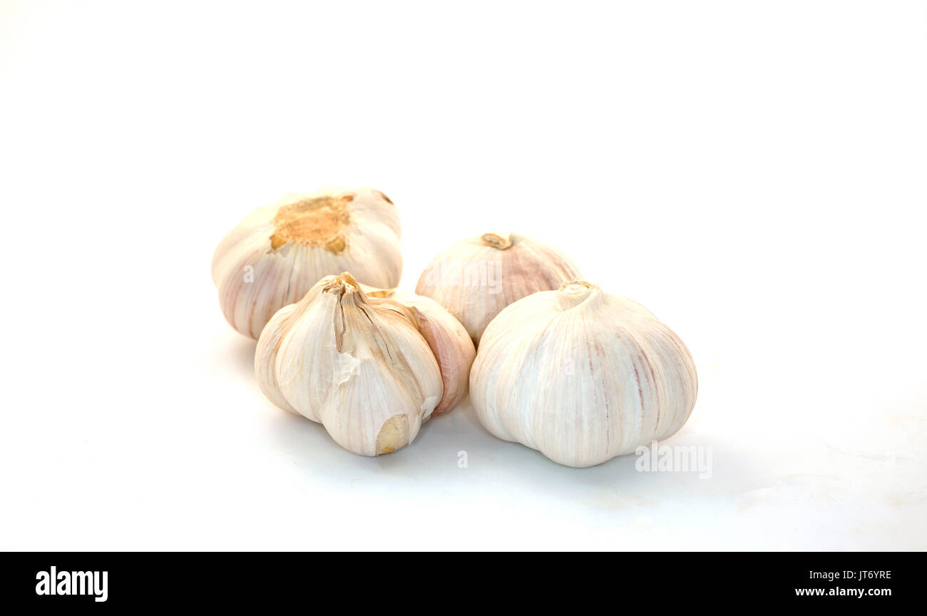 Garlic on white background Stock Photo - Alamy