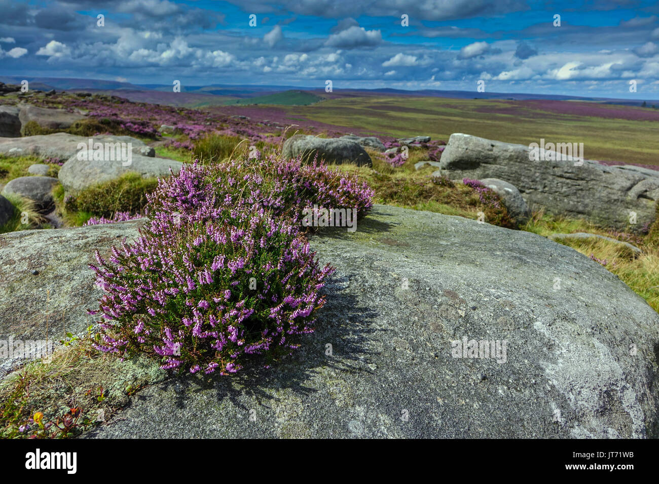 Peak district summer landscape hi-res stock photography and images - Alamy