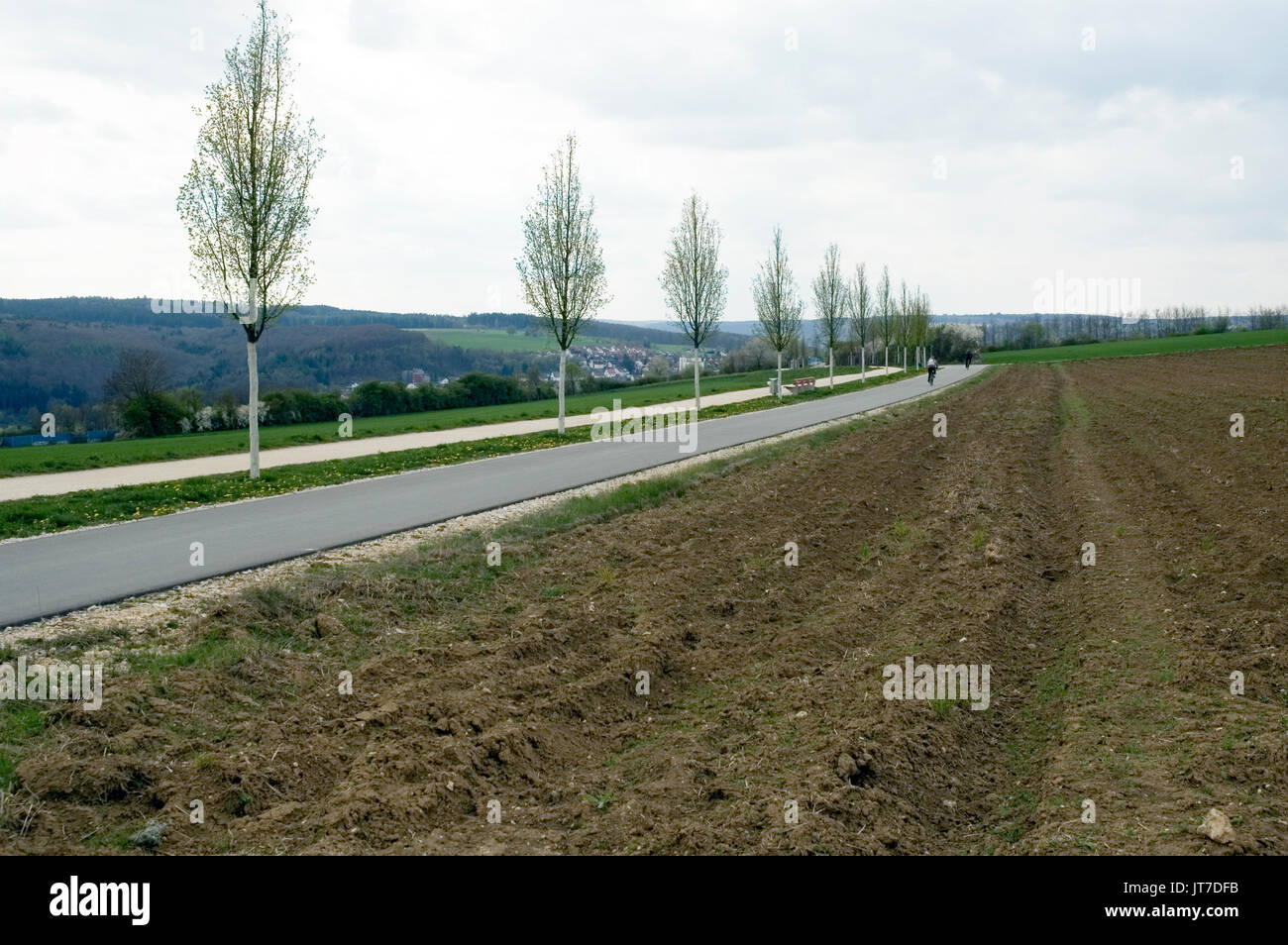 Row trees bike path hi-res stock photography and images - Alamy