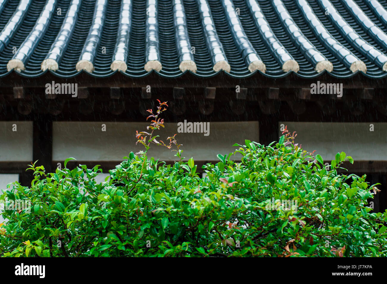 Rainy Korea Seoul Namsan Hanok Village Stock Photo - Alamy