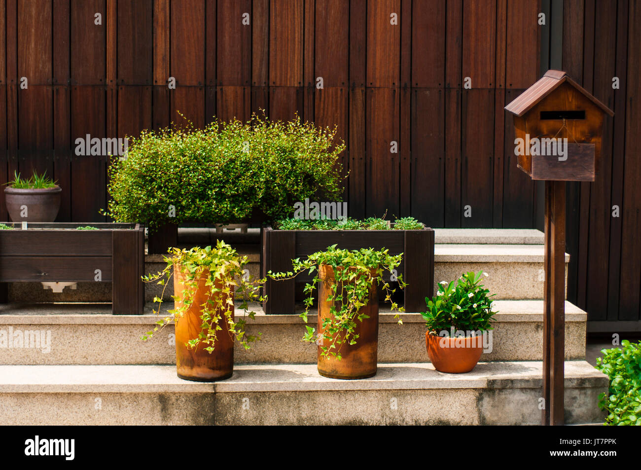 plants being potted Stock Photo - Alamy