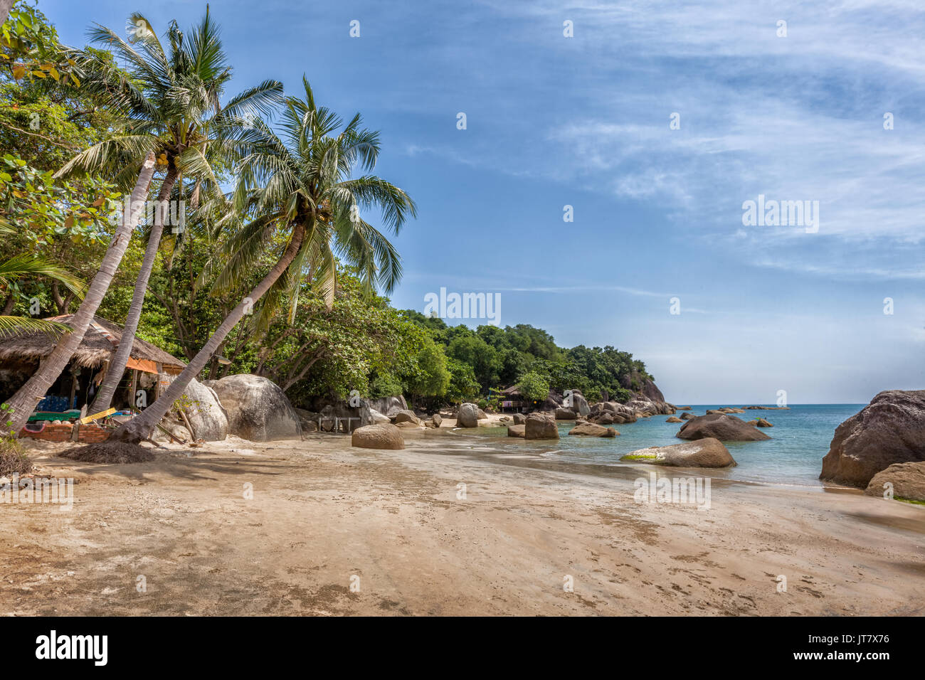 Coconut trees lamai beach koh hi-res stock photography and images - Alamy