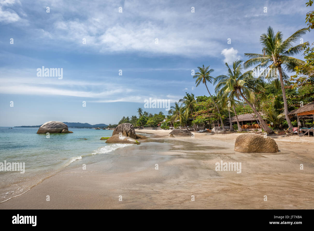 Coconut trees lamai beach koh hi-res stock photography and images - Alamy