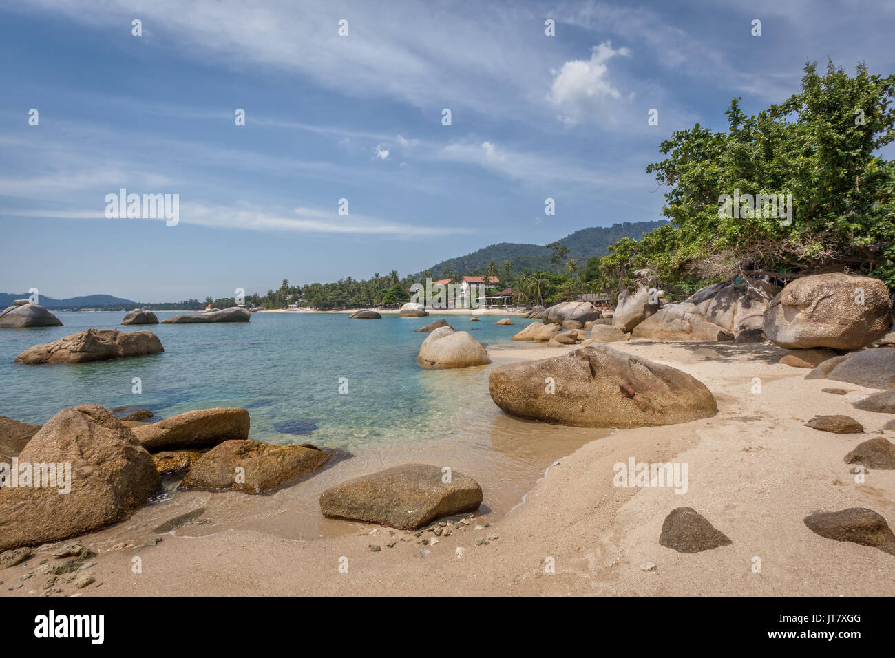 Coconut trees lamai beach koh hi-res stock photography and images - Alamy