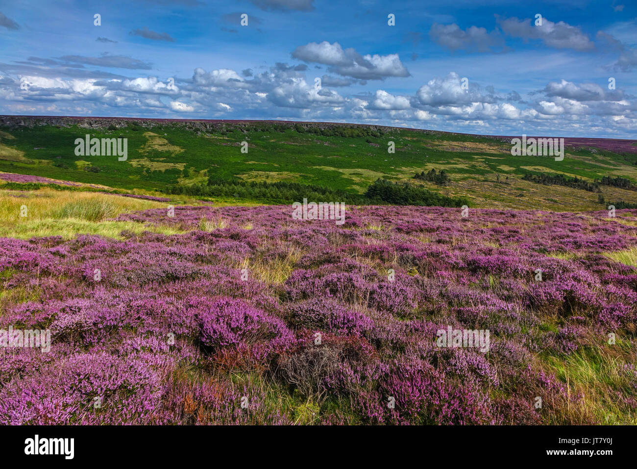 Burbage edge hi-res stock photography and images - Alamy