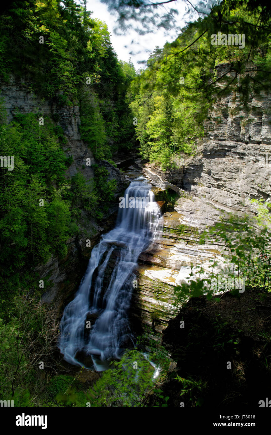 Enfield Falls High Resolution Stock Photography and Images - Alamy