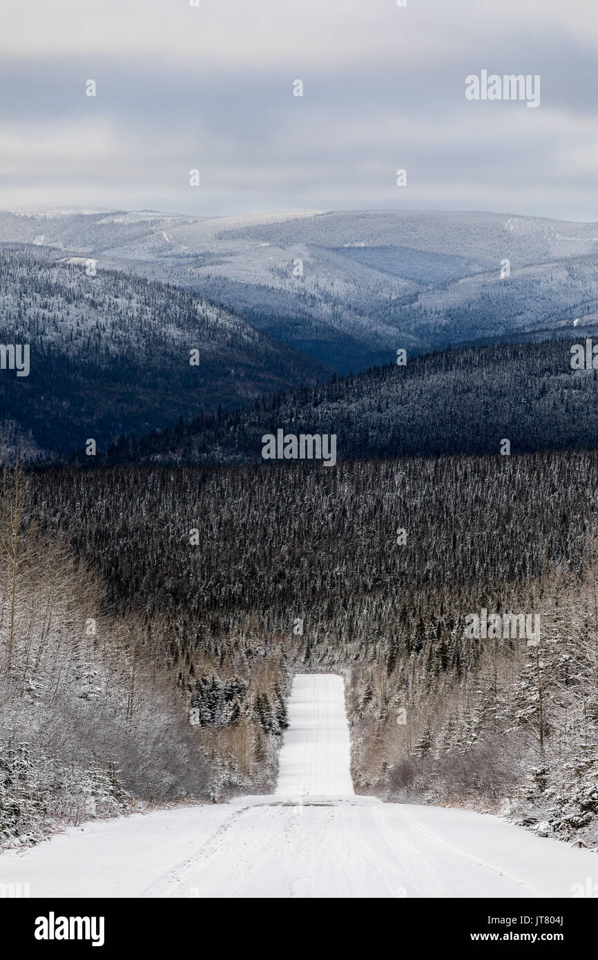 Snowy gravel path hi-res stock photography and images - Alamy