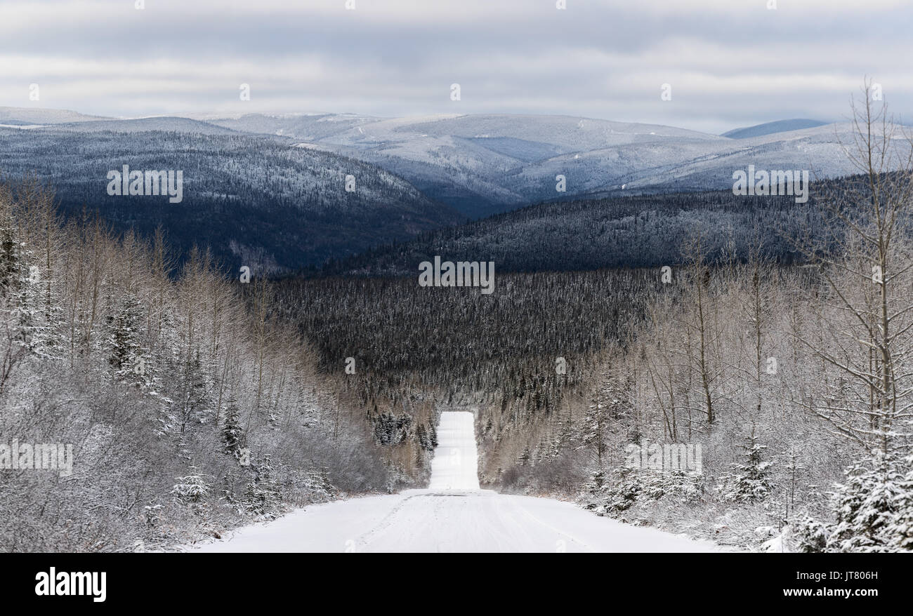Snowy gravel path hi-res stock photography and images - Alamy