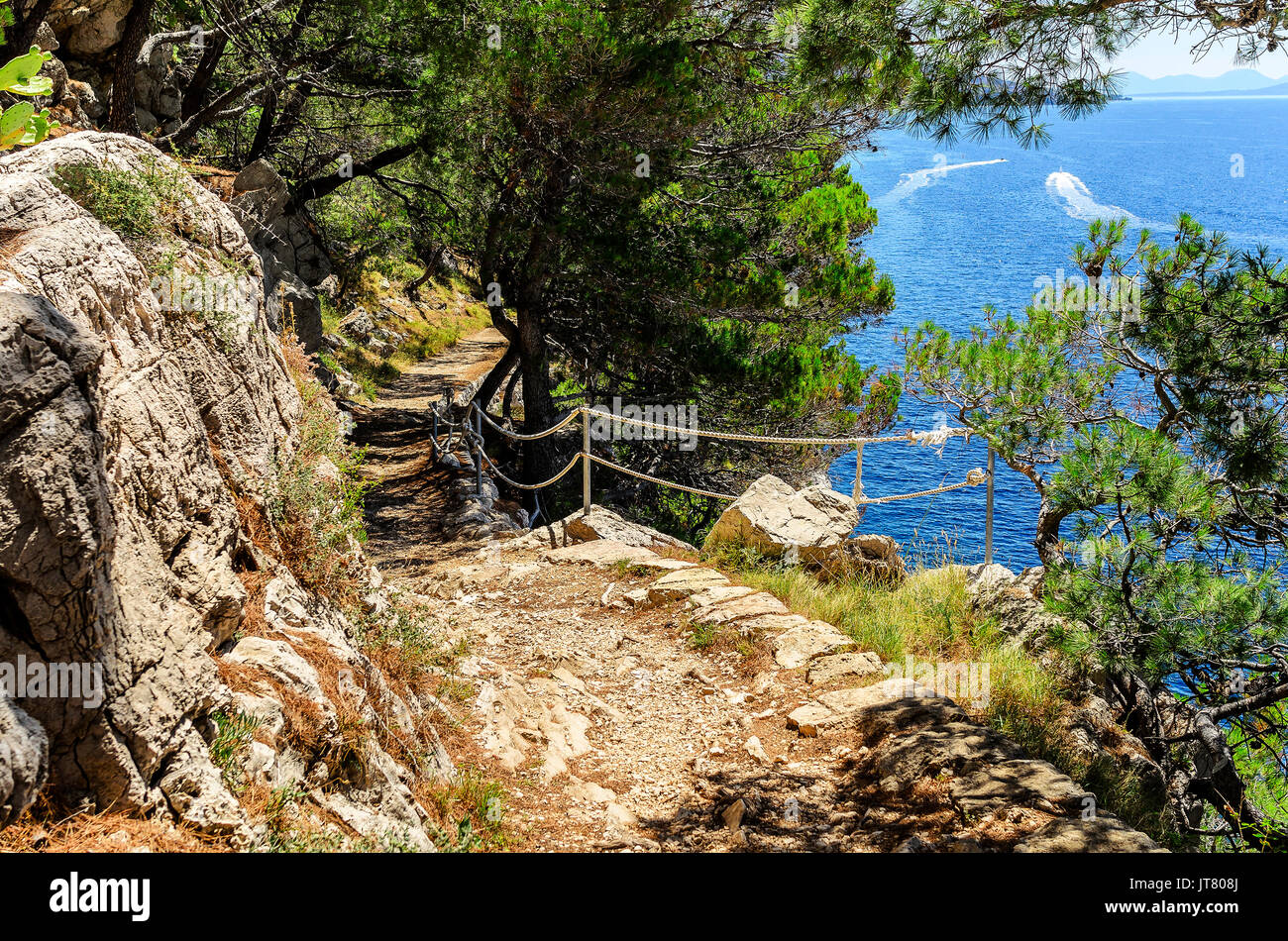 Forest to the sea hi-res stock photography and images - Alamy