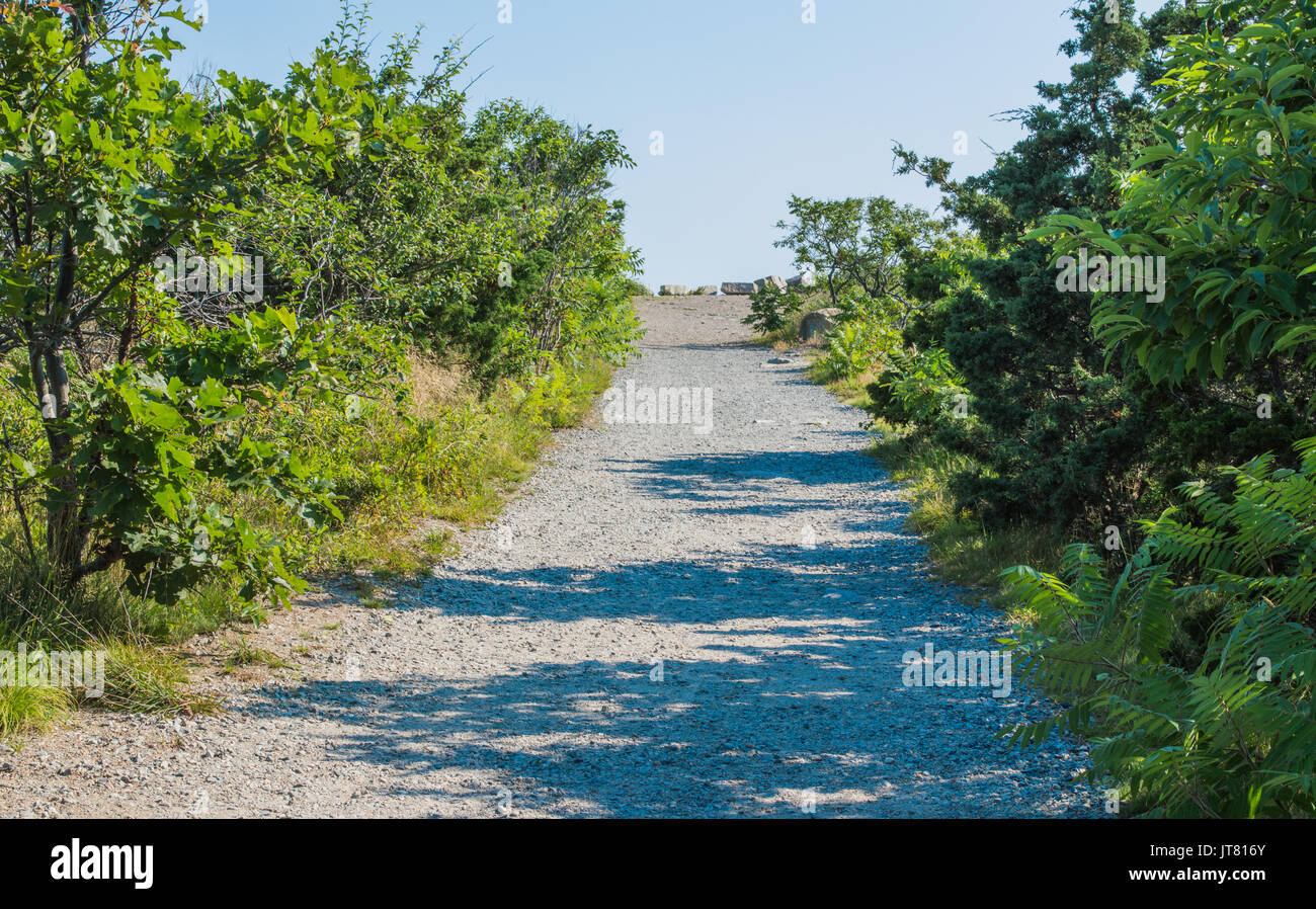 Pathway through brush hi-res stock photography and images - Alamy