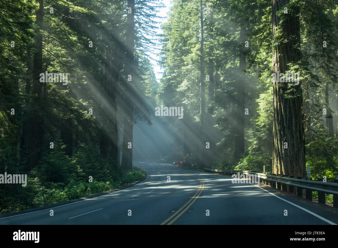 Light streaming through the fog Stock Photo - Alamy