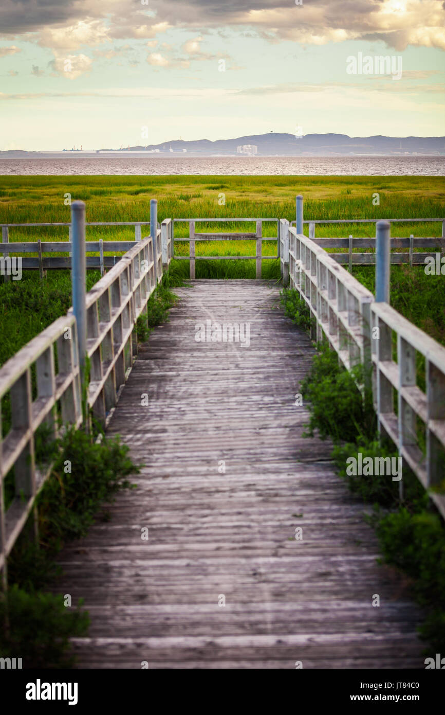 Amazing Calm Landscape View of a Swamp from a Wood Balcony in Canada ...