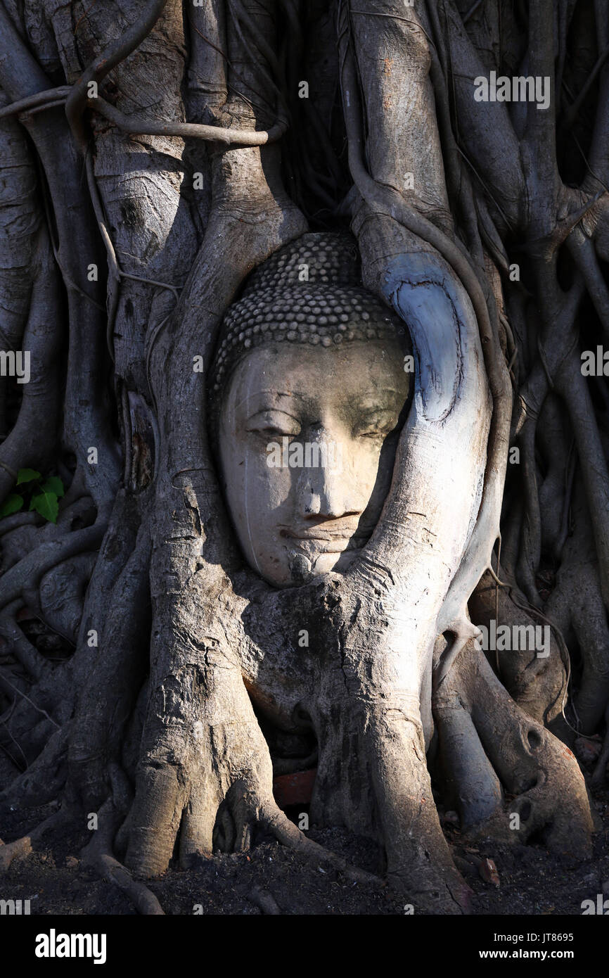 Temple of the bodhi tree hi-res stock photography and images - Alamy