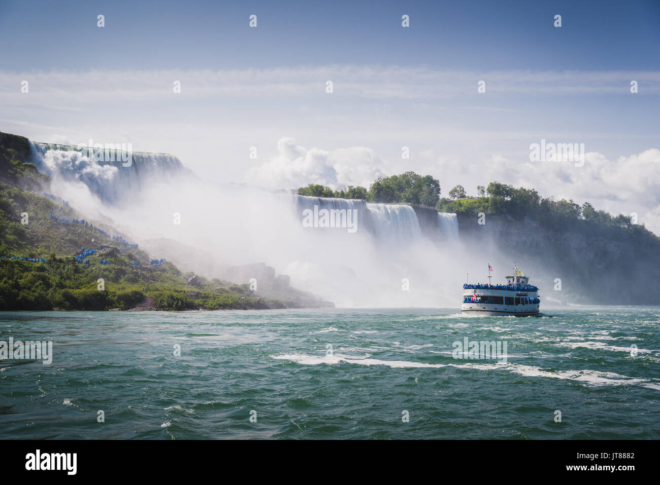 Niagara falls seagull hi-res stock photography and images - Alamy