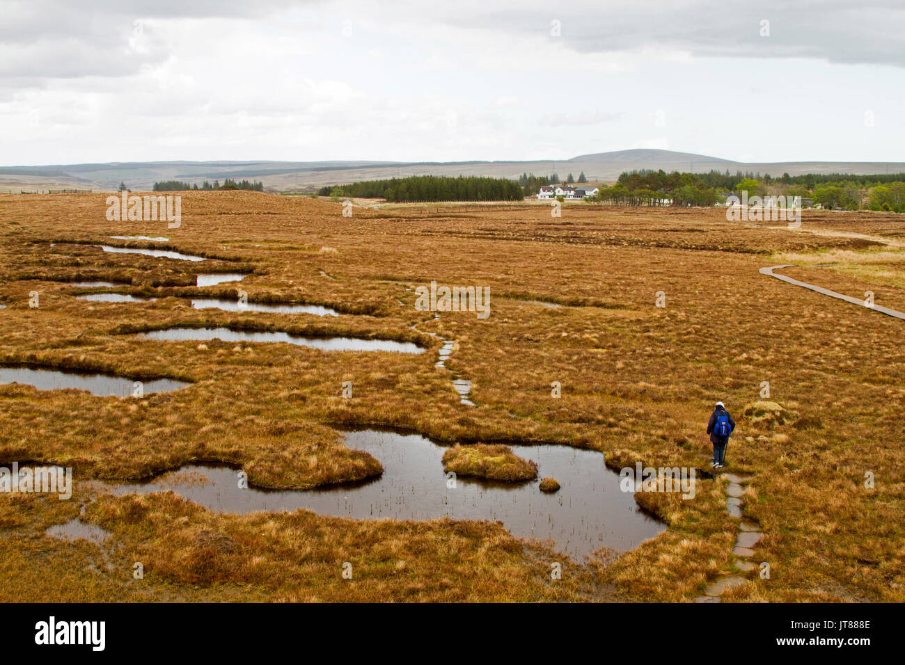 Scotland peat bog hi-res stock photography and images - Alamy