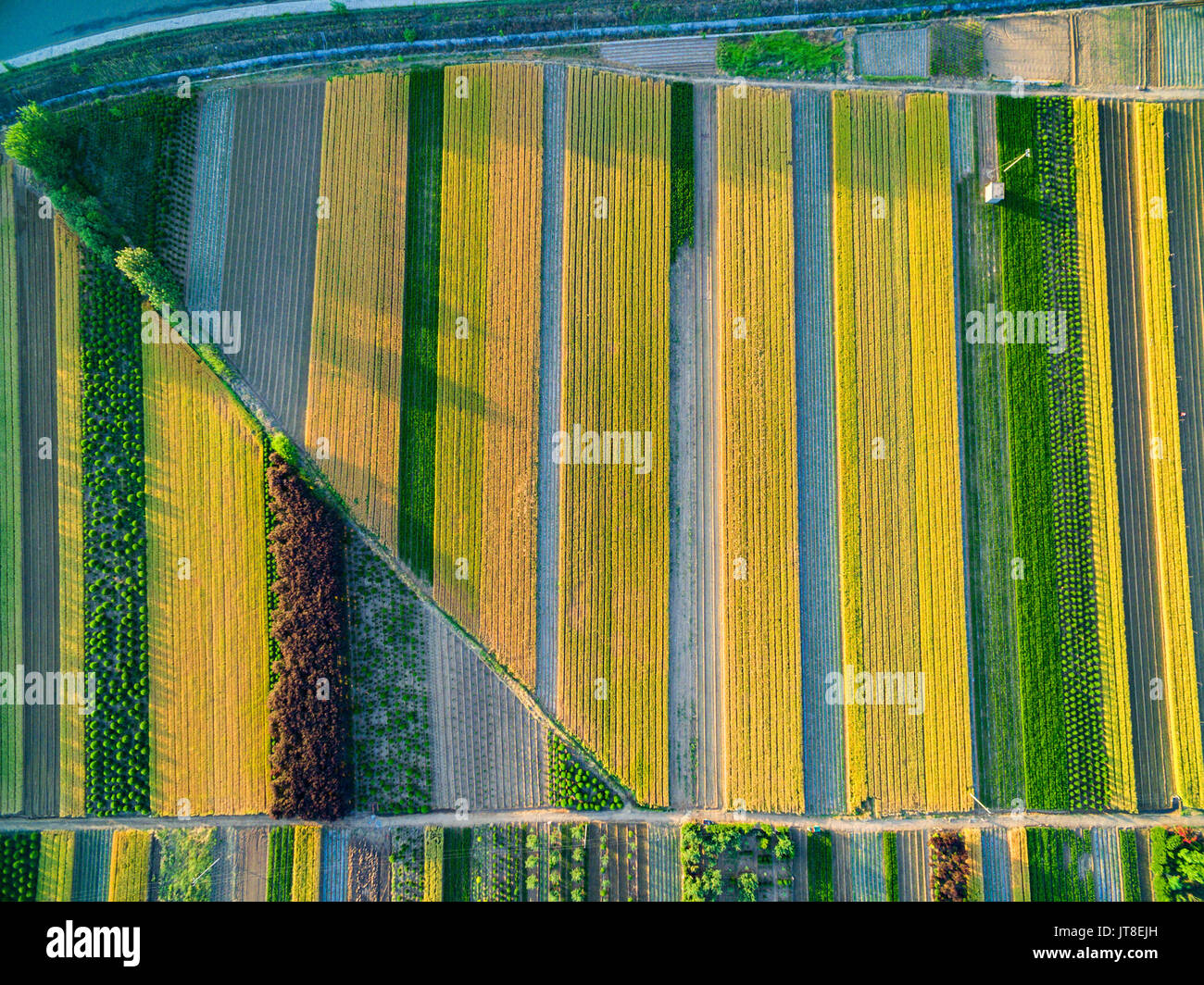 Zhaoyuan, China. 8th Aug, 2017. Zhaoyuan, CHINA-August 7 2017 ...