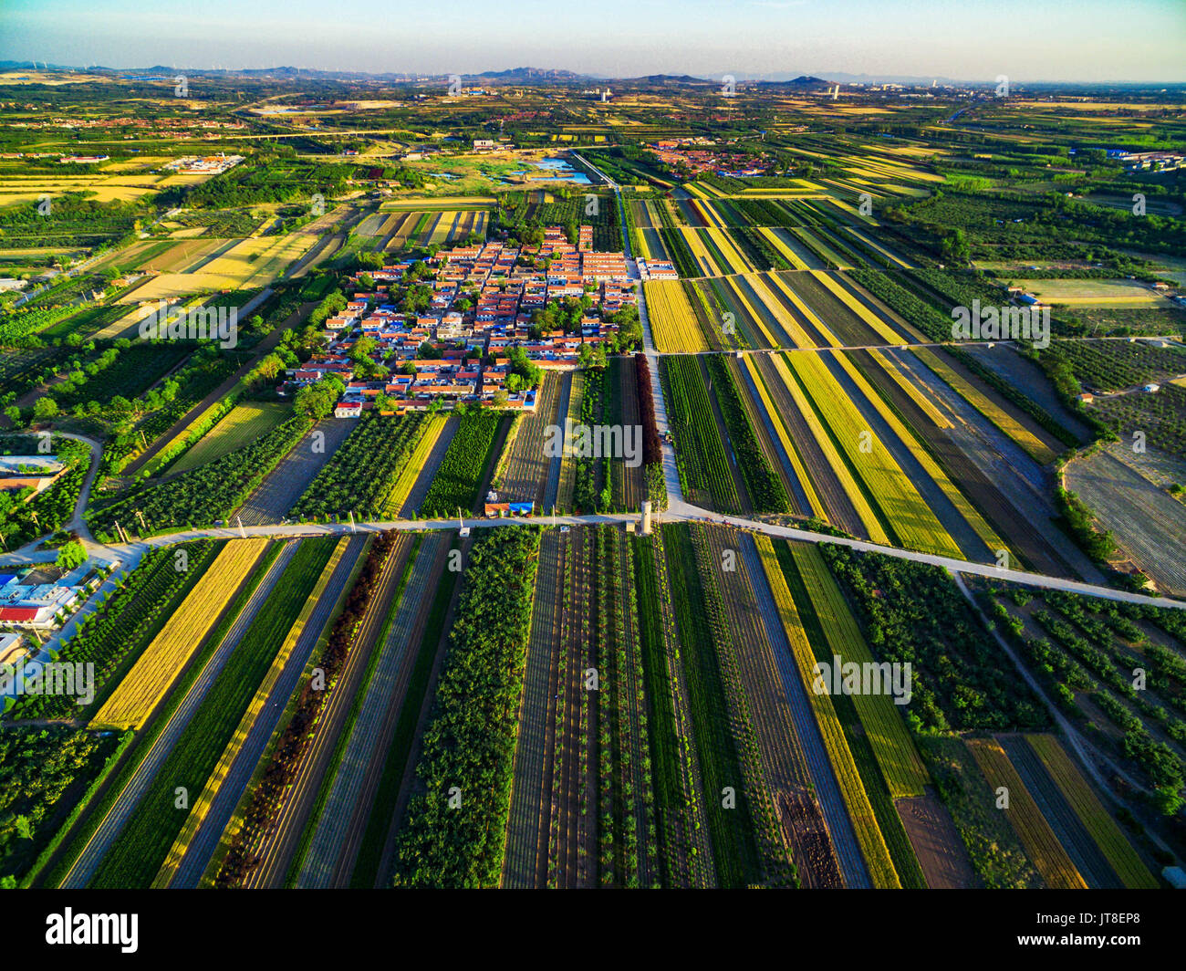 Zhaoyuan, China. 8th Aug, 2017. Zhaoyuan, CHINA-August 7 2017 ...