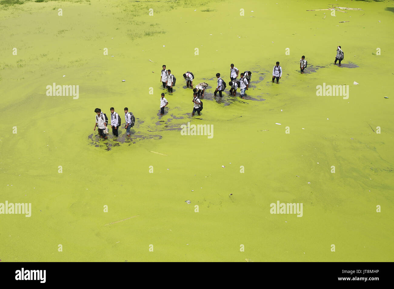 Dhaka, Bangladesh. 8th Aug, 2017. Bangladeshi school children walk on flooded field as they ...