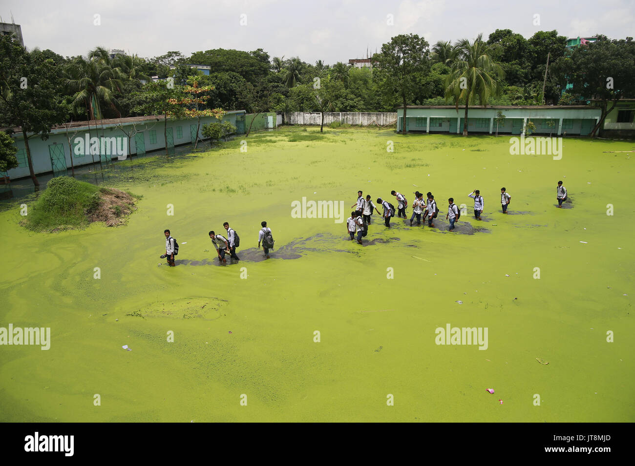 Dhaka, Bangladesh. 8th Aug, 2017. Bangladeshi school children walk on flooded field as they ...