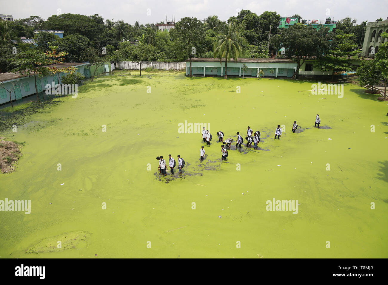 Dhaka, Bangladesh. 8th Aug, 2017. Bangladeshi school children walk on flooded field as they ...