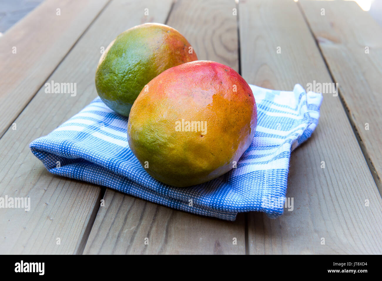 Fresh ripe raw mangos on a rustic wood table top in Southern California ...