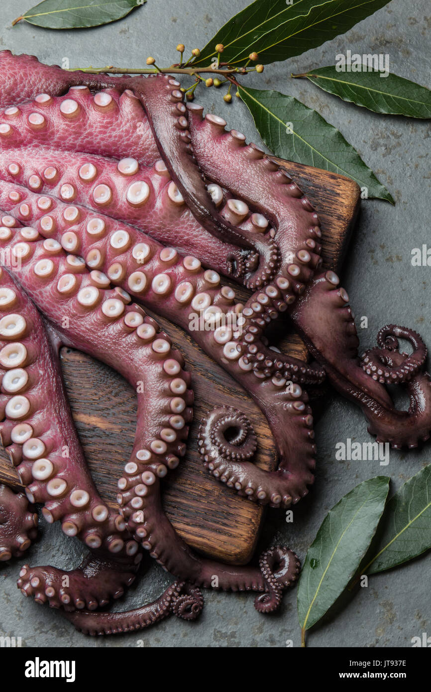 Seafood octopus. Whole fresh raw octopus on wooden board with lemon and ...