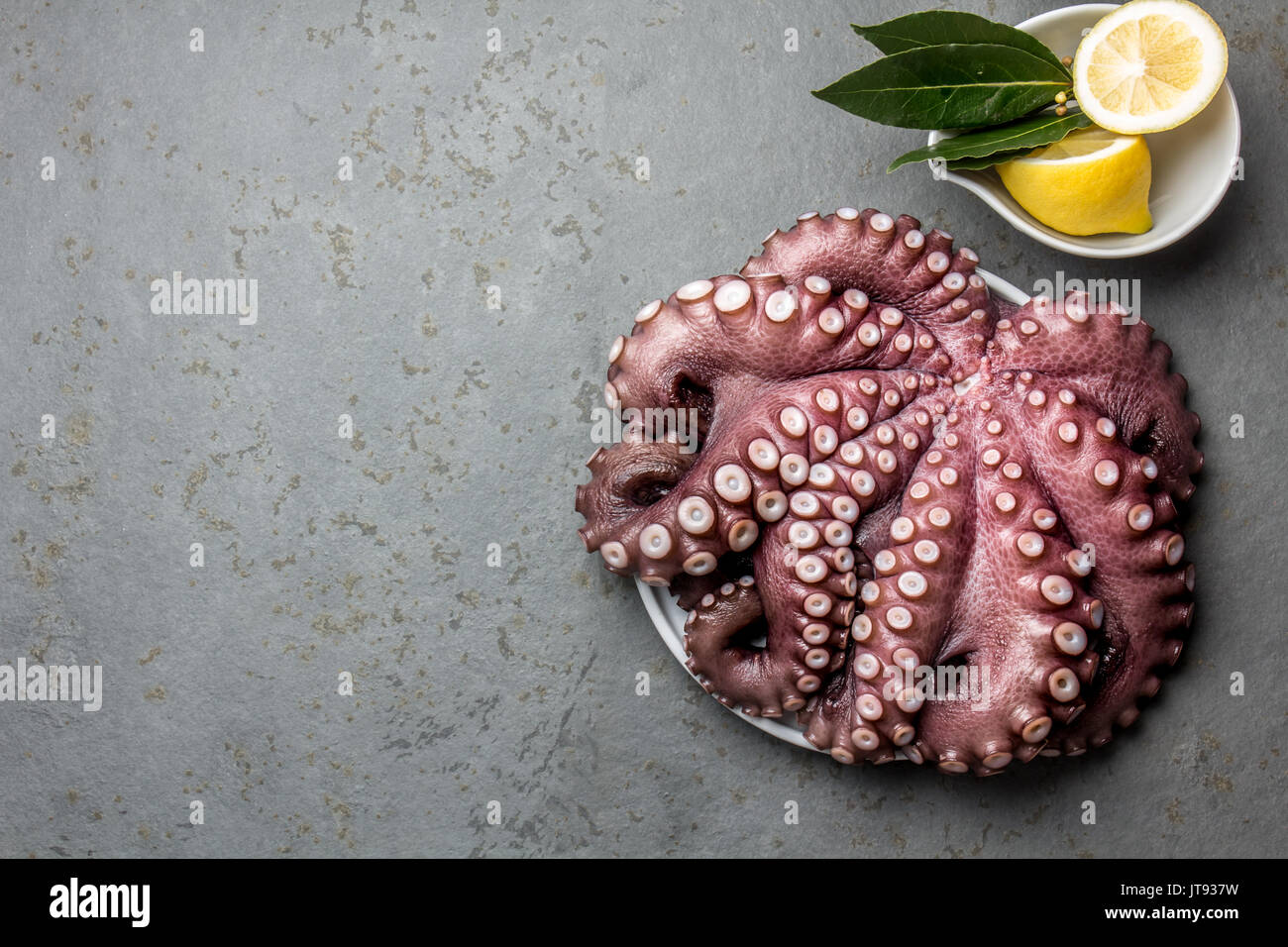 Seafood octopus. Whole fresh raw octopus on with lemon and laurel, gray ...