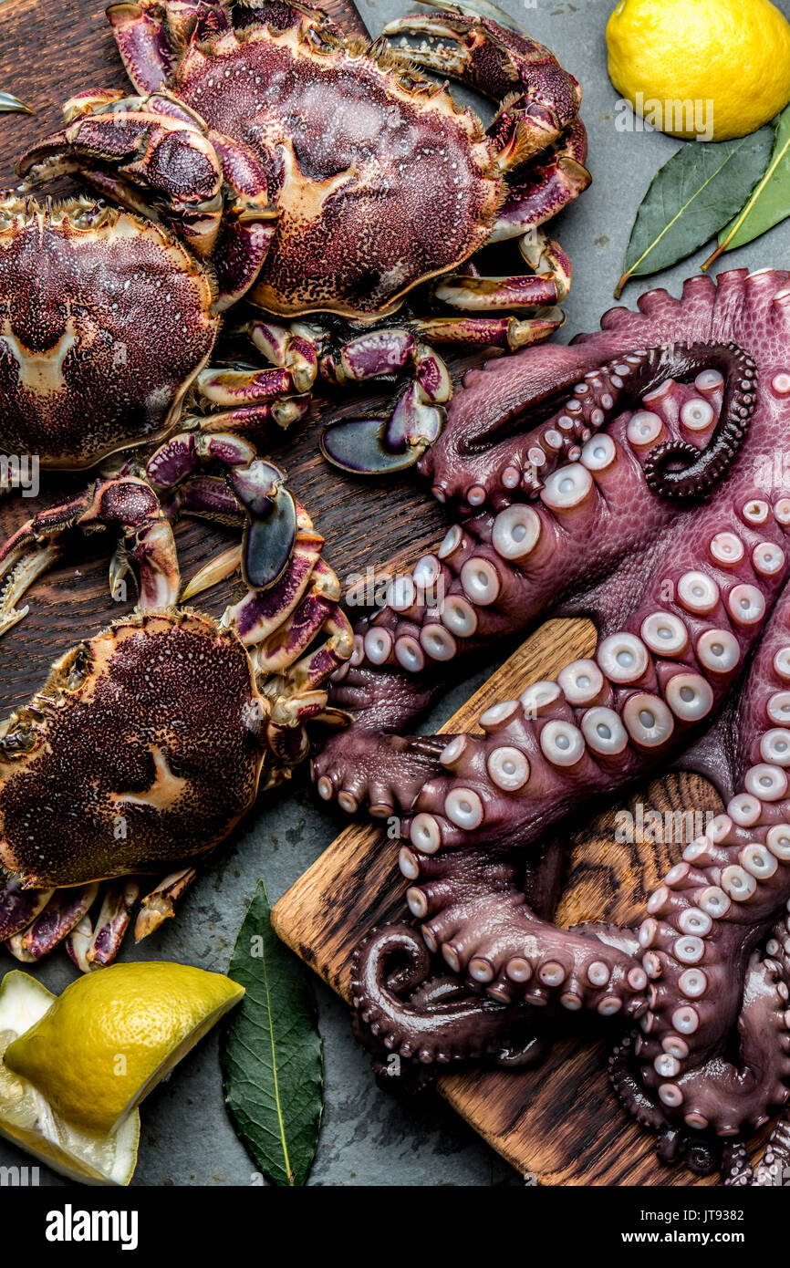 Seafood octopus. Whole fresh raw octopus and crabs on wooden board with ...