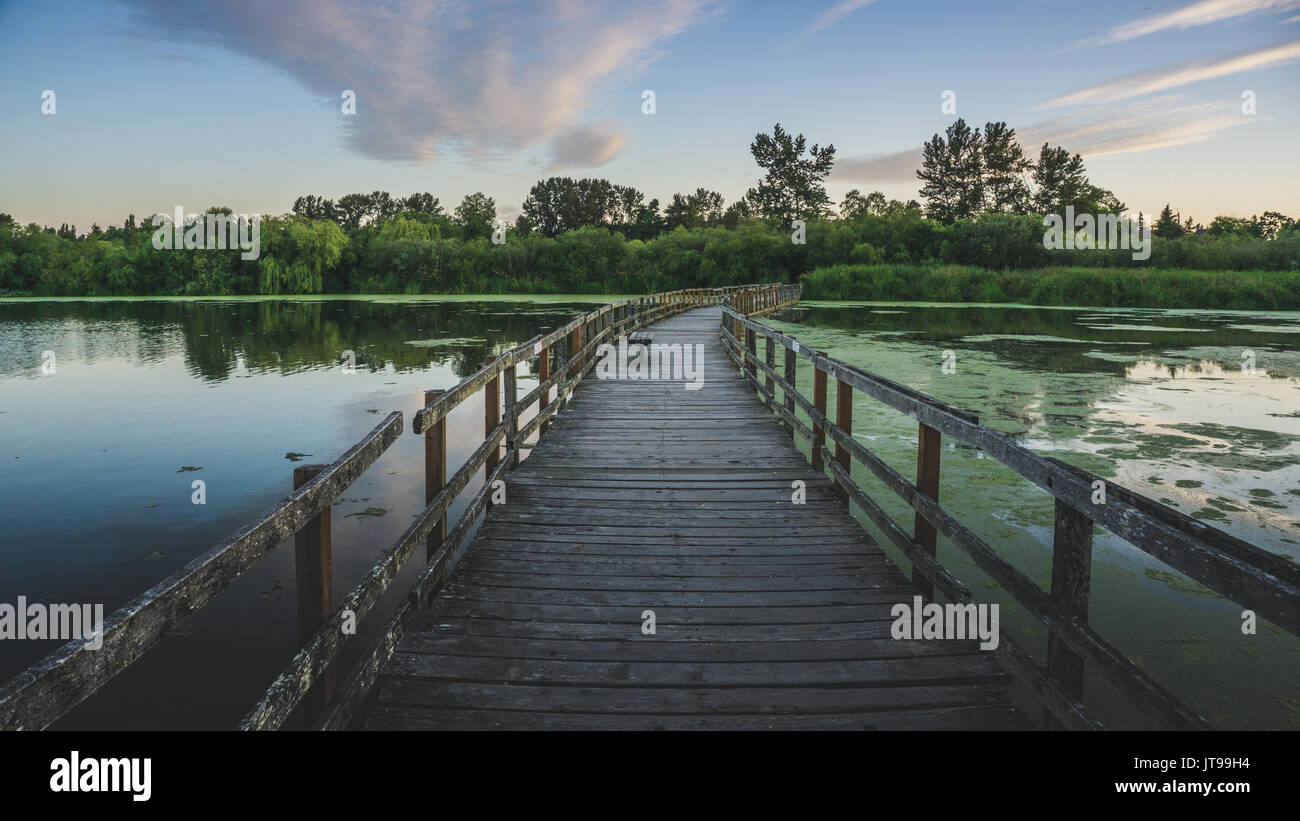 Swan lake trail hi-res stock photography and images - Alamy