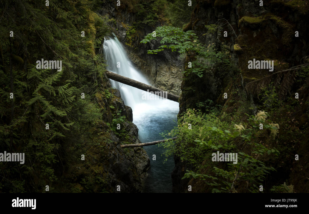 Little qualicum falls hi-res stock photography and images - Alamy