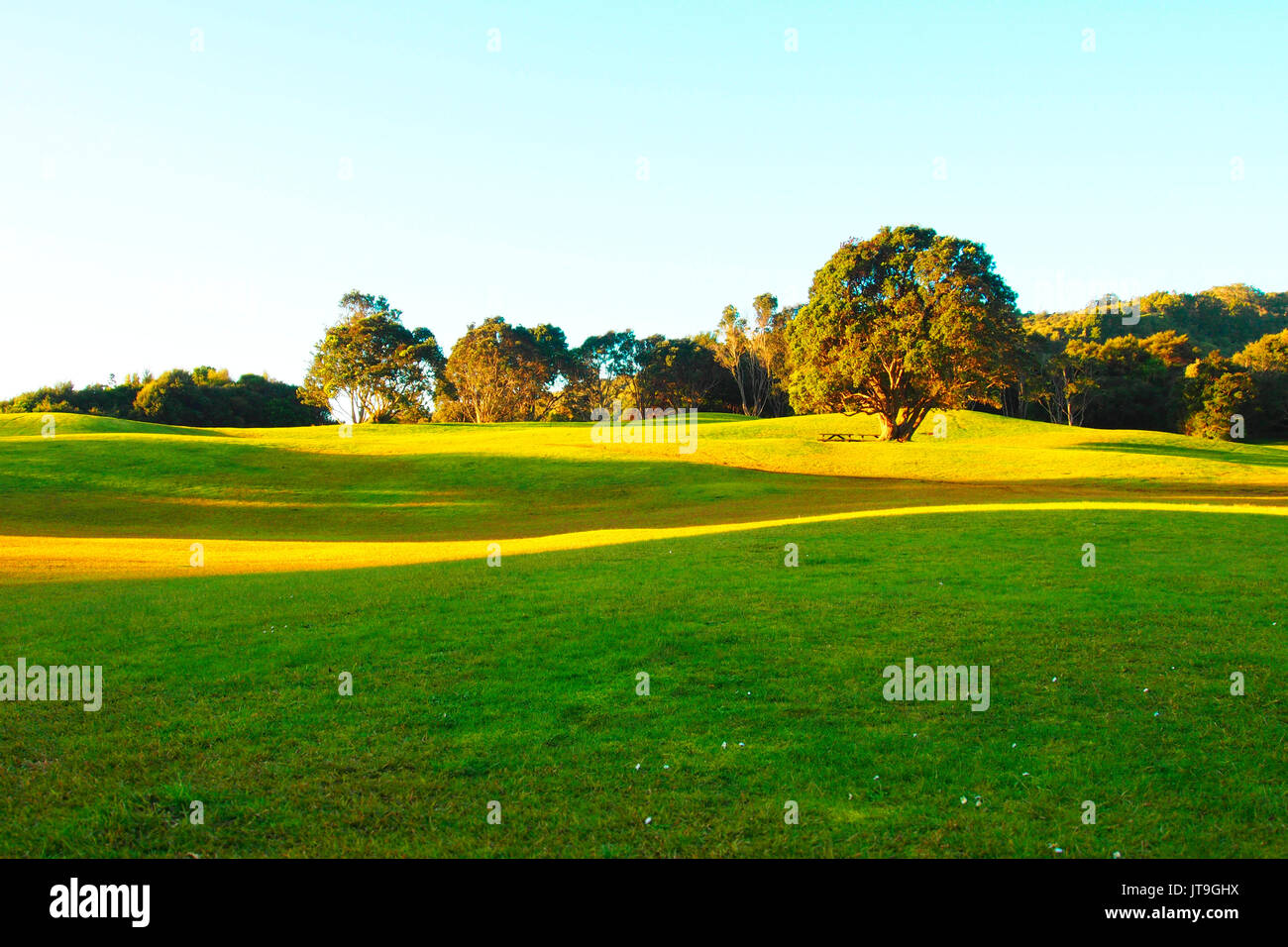 park at the waitakere ranges Stock Photo - Alamy