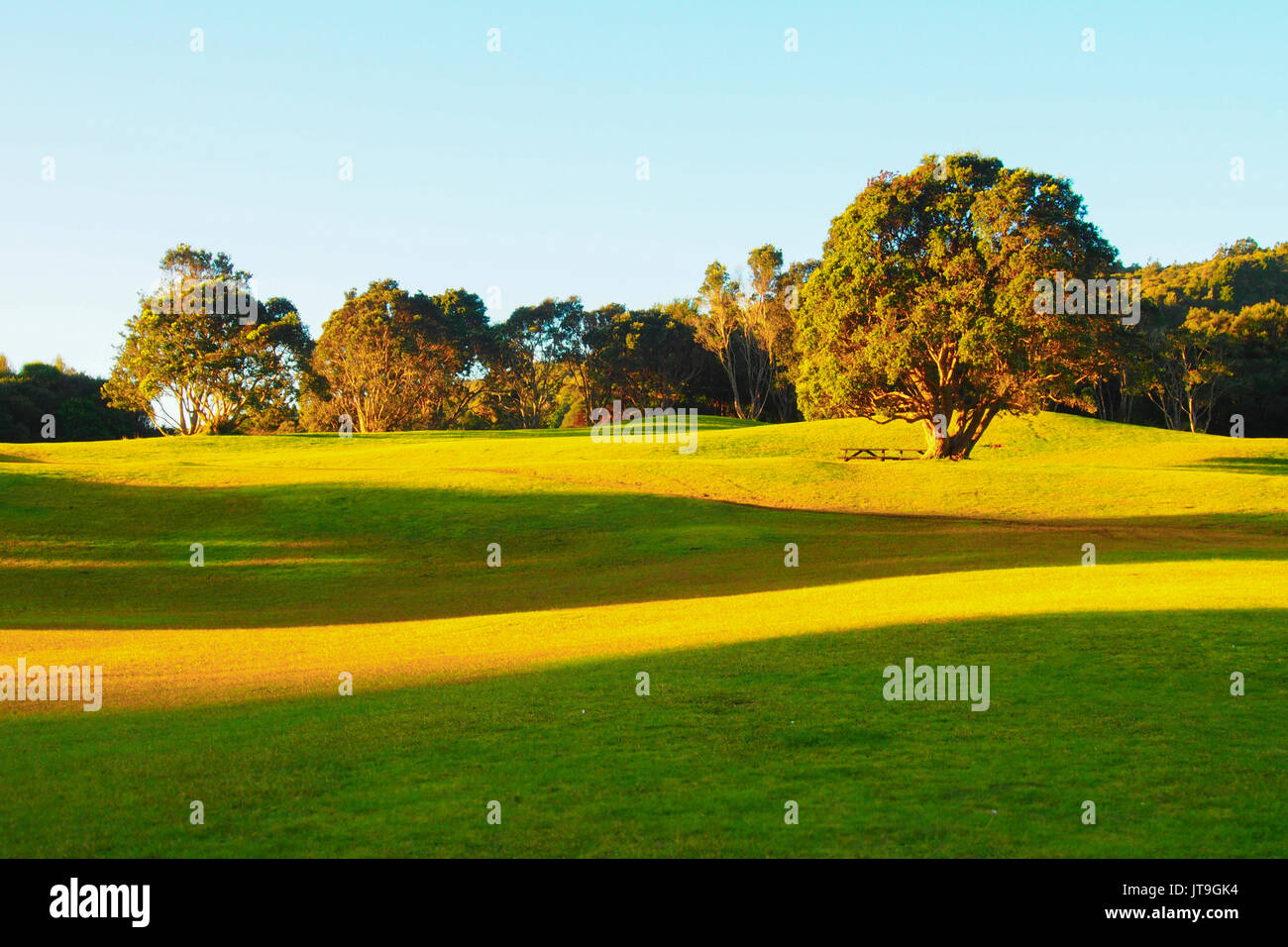 park at the waitakere ranges Stock Photo - Alamy