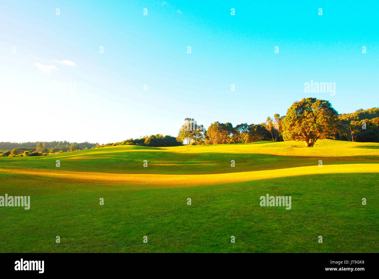 park at the waitakere ranges Stock Photo - Alamy