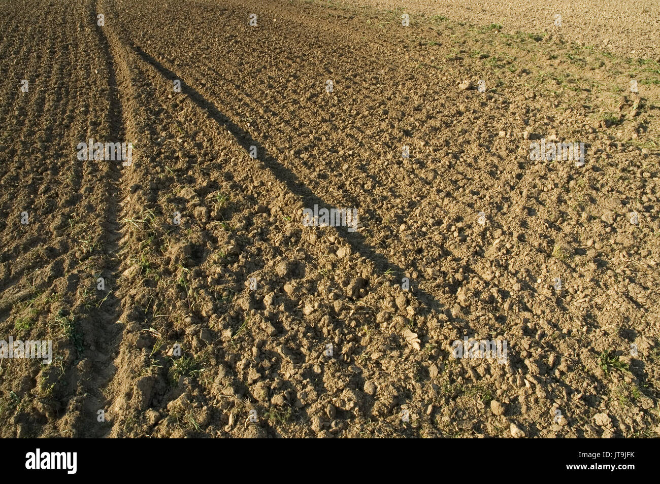 furrows in soil Stock Photo - Alamy