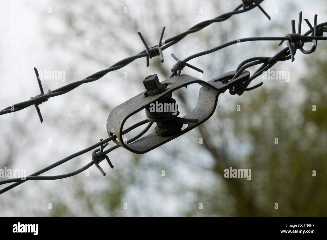 coupling of a barbed wire Stock Photo - Alamy