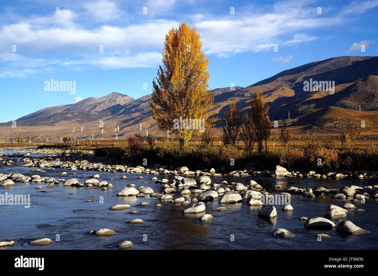 Yellow river rocks hi-res stock photography and images - Alamy