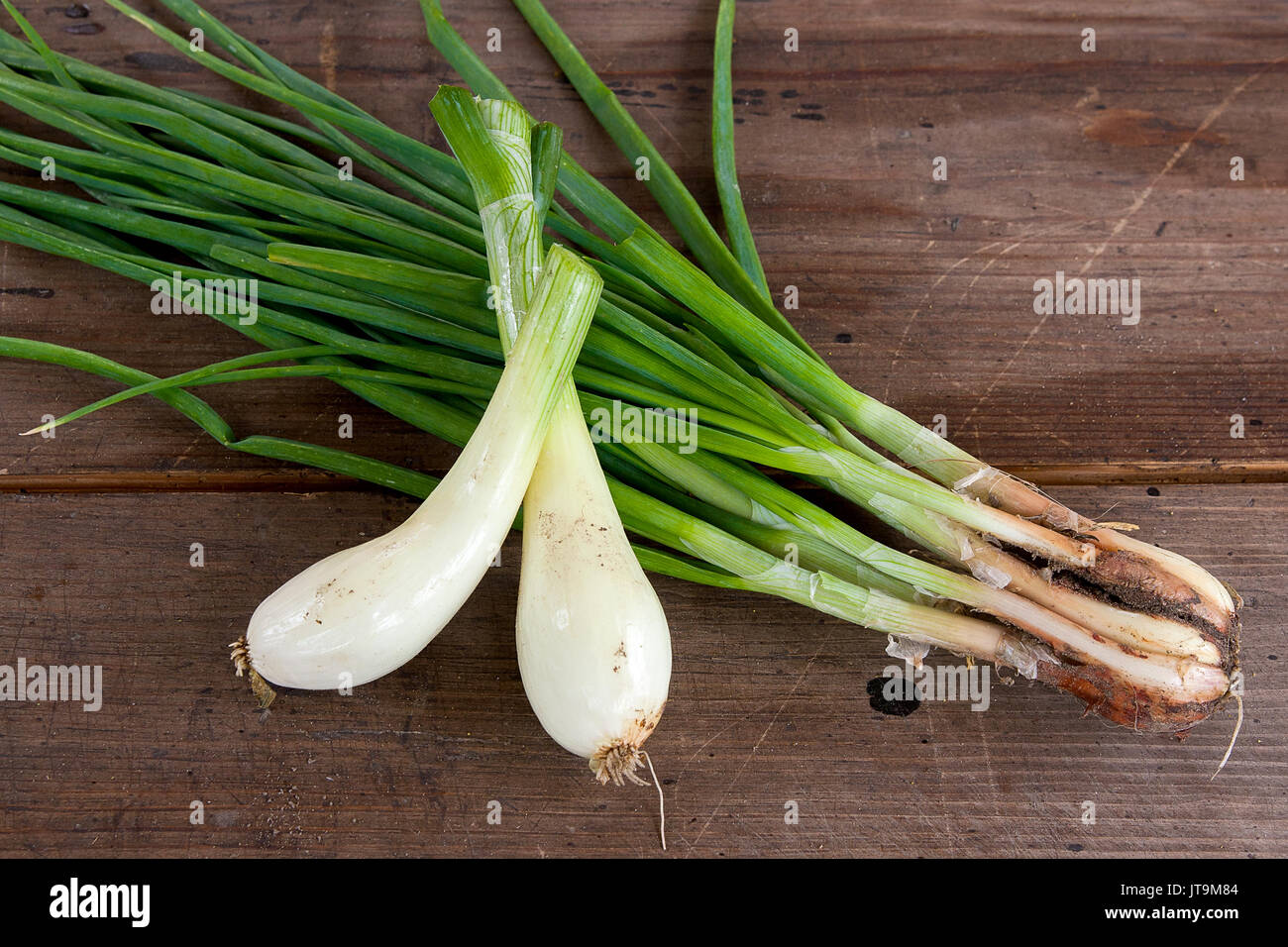 Spring onions are rich in vitamins,minerals and natural compound. Green ...