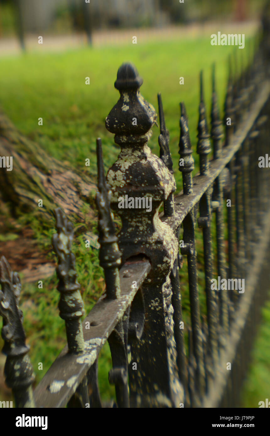 vintage iron fence posts weather mossy Stock Photo - Alamy