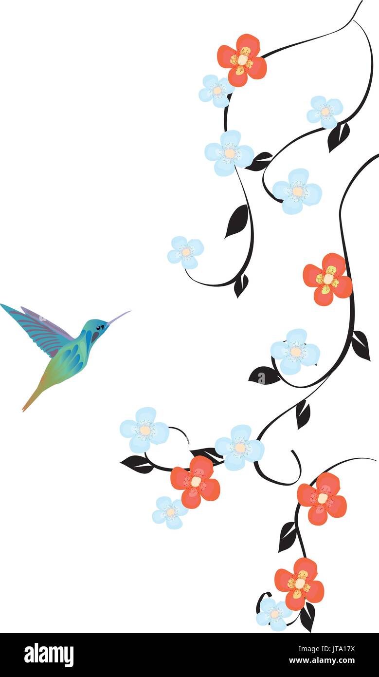 vector illustration of hummingbird and flowers Stock Vector Image & Art ...