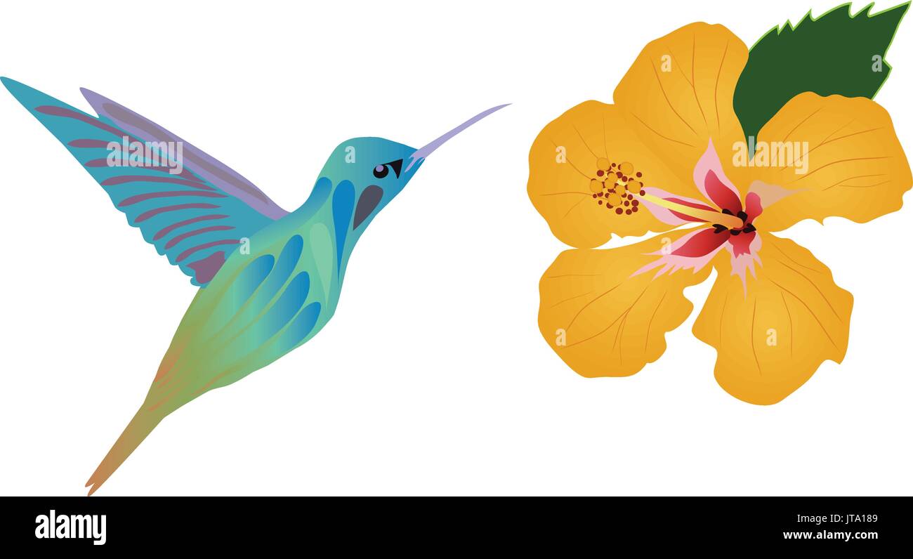 vector illustration of hummingbird and flowers Stock Vector Image & Art ...