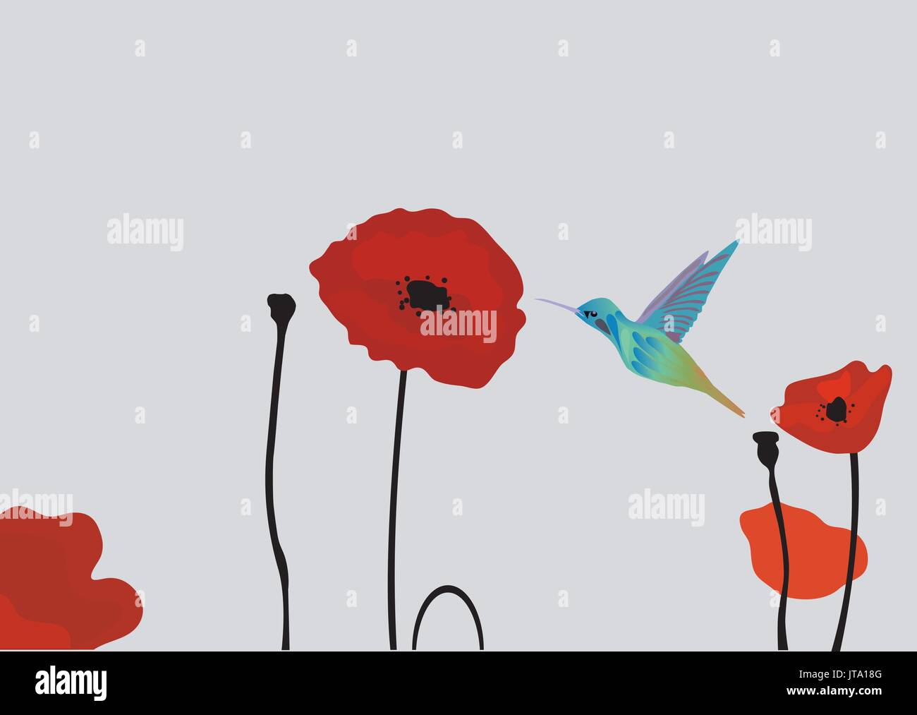 vector illustration of poppies floral background with hummingbirds ...
