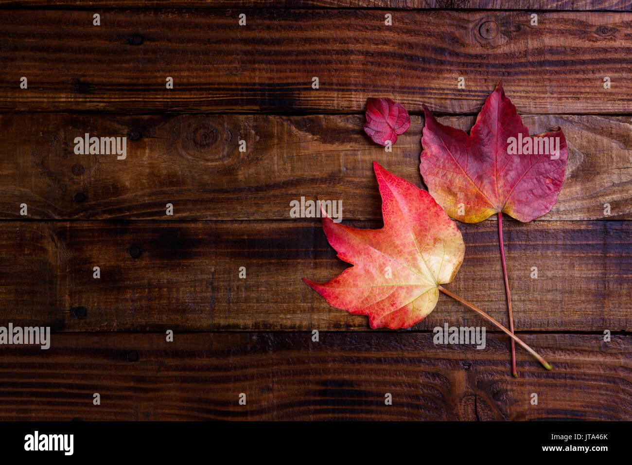 Autumn leaves over dark wooden vintage background with copy space Stock ...