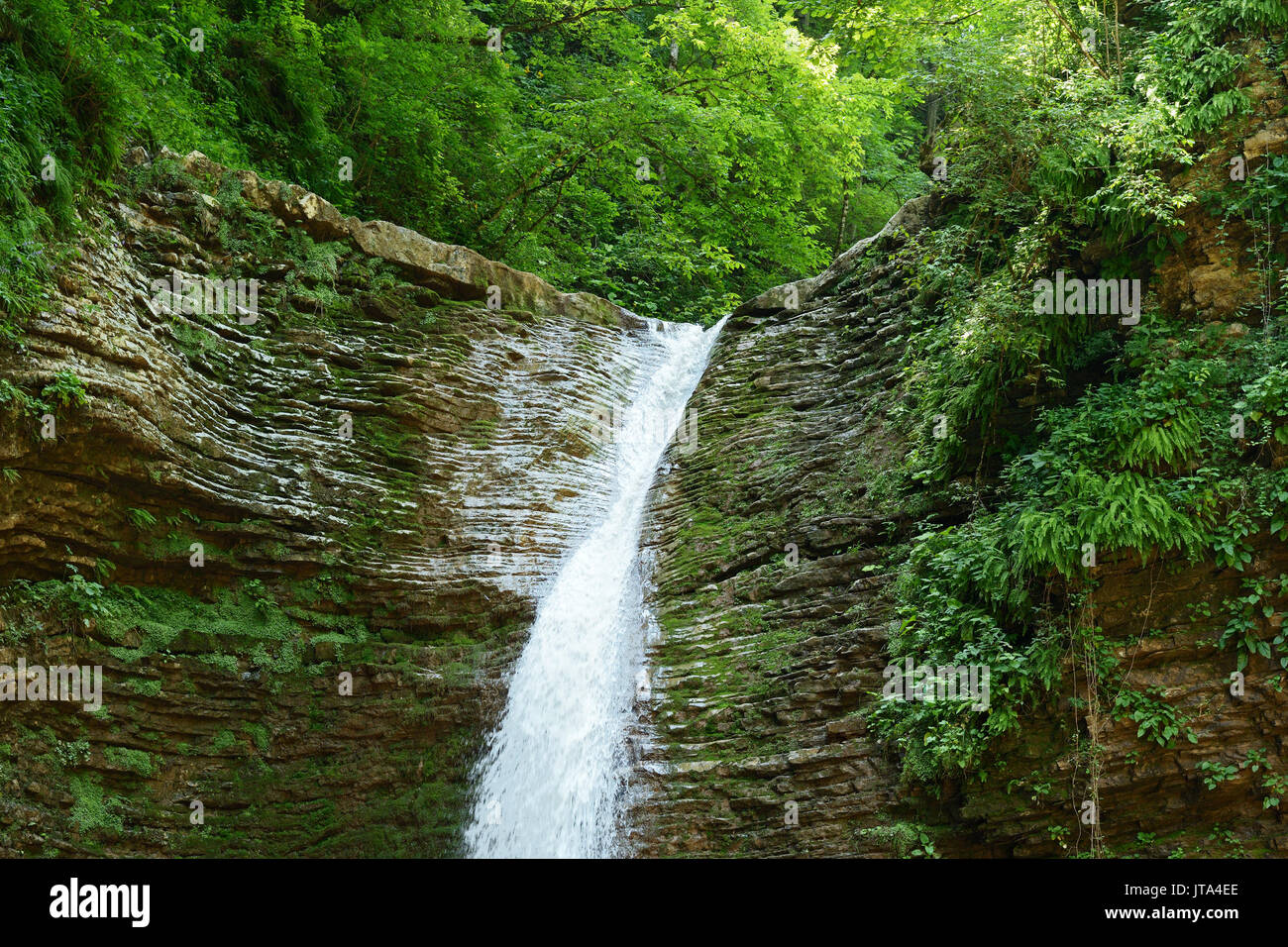 Waterfall in green forest Stock Photo - Alamy